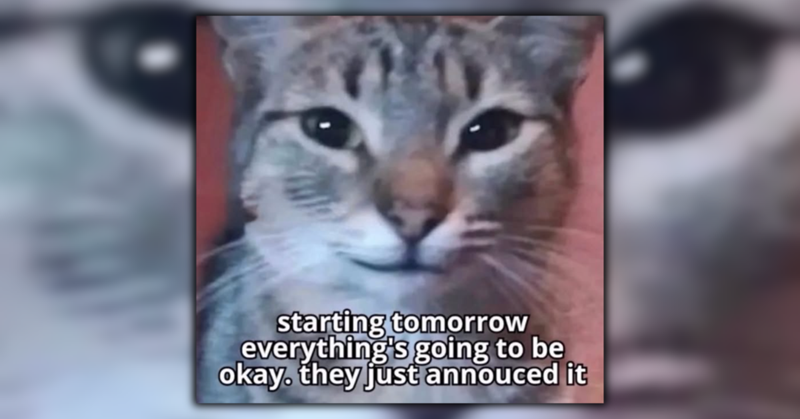 20+ silly memes to remind you that everything will be alright