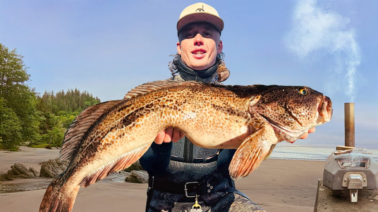 I caught the biggest ling cod yet! 🎣