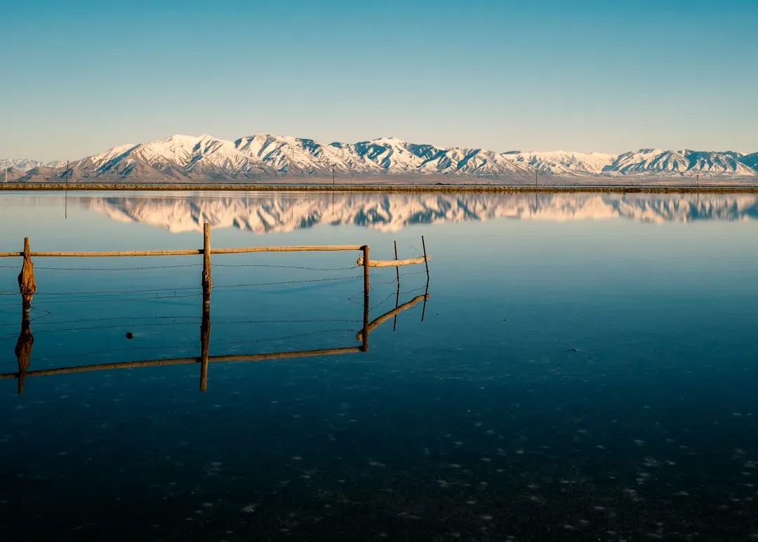 I asked ChatGPT which US lakes are shrinking the fastest - here's what ...