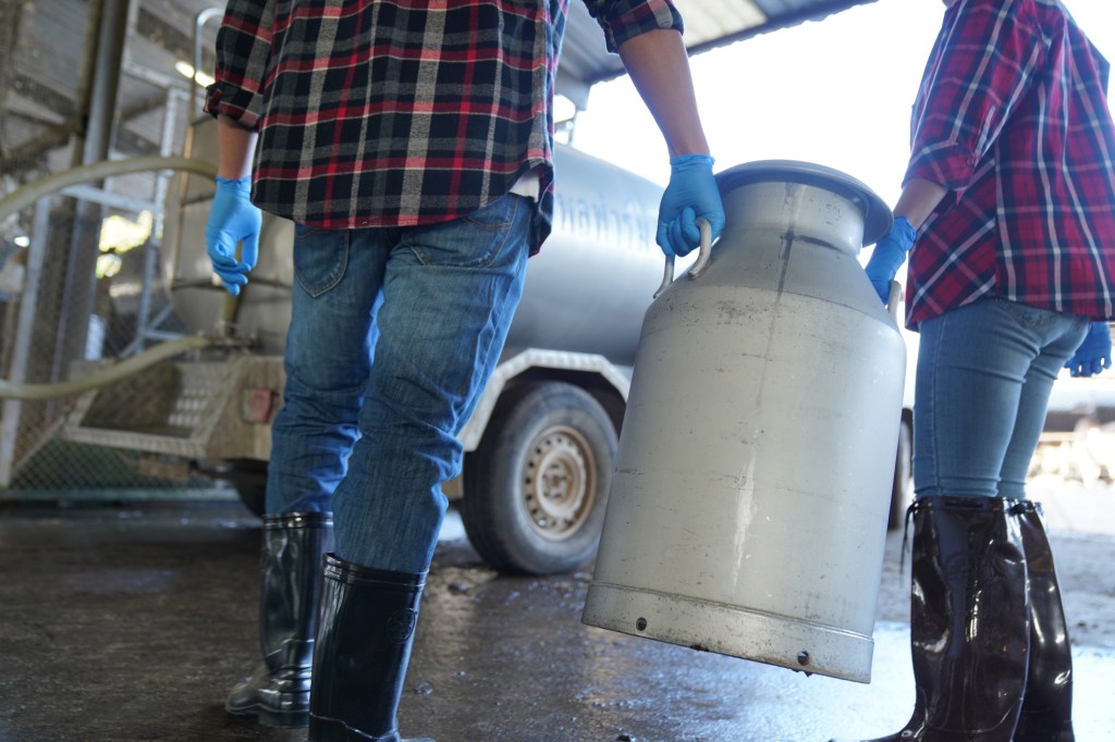 Raw milk is more popular than ever before, but this is why it’s banned ...