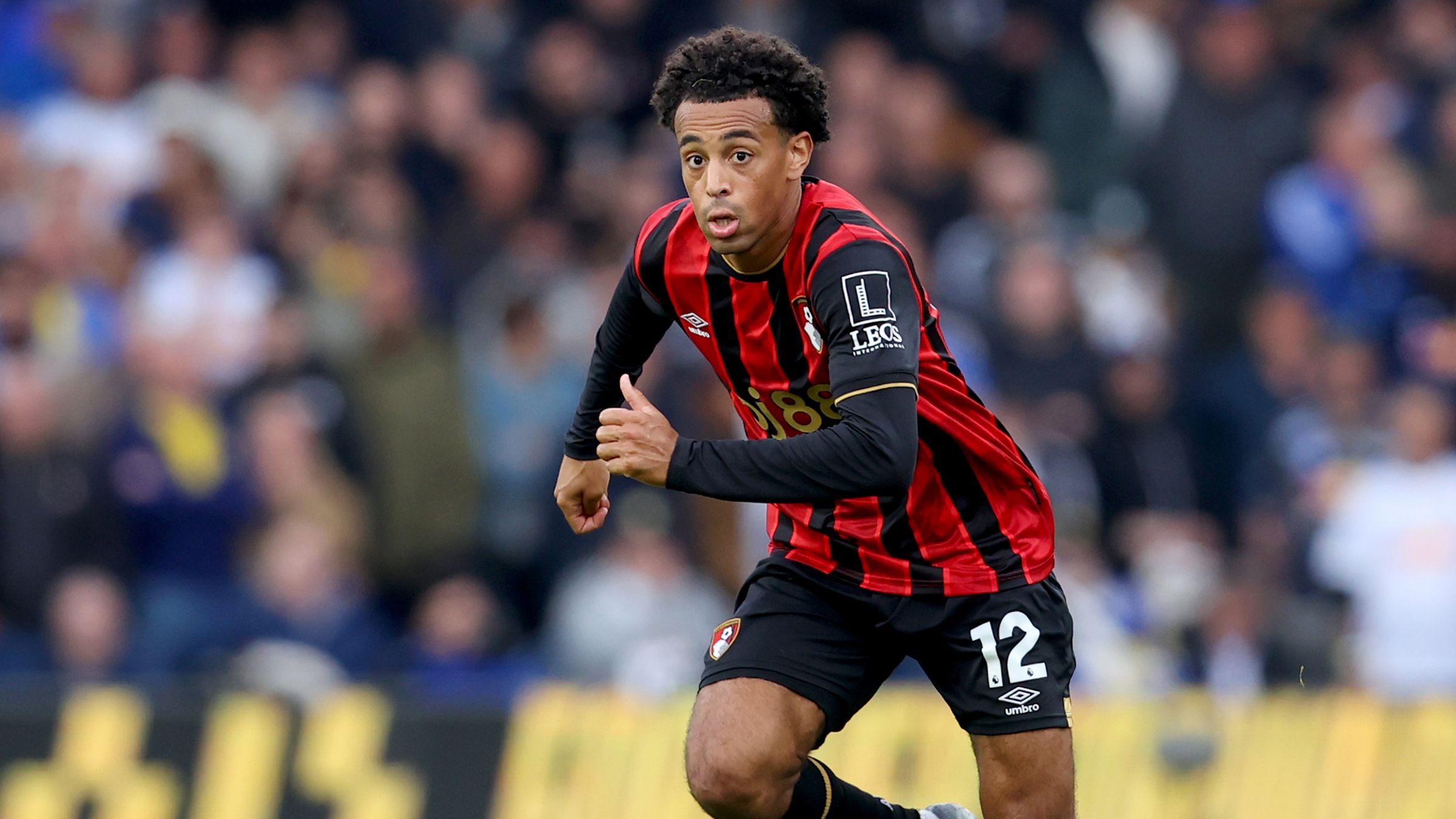 Could USA's Tyler Adams be on his way to Manchester United?