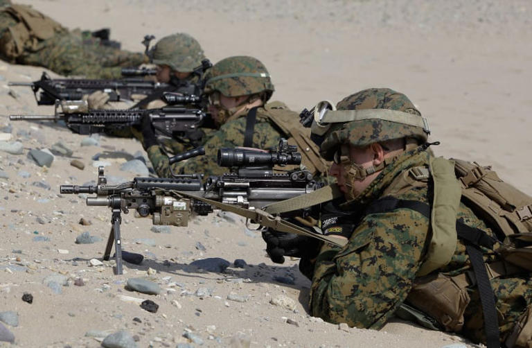 'Only the MEU can conduct this operation': Expert explains importance ...