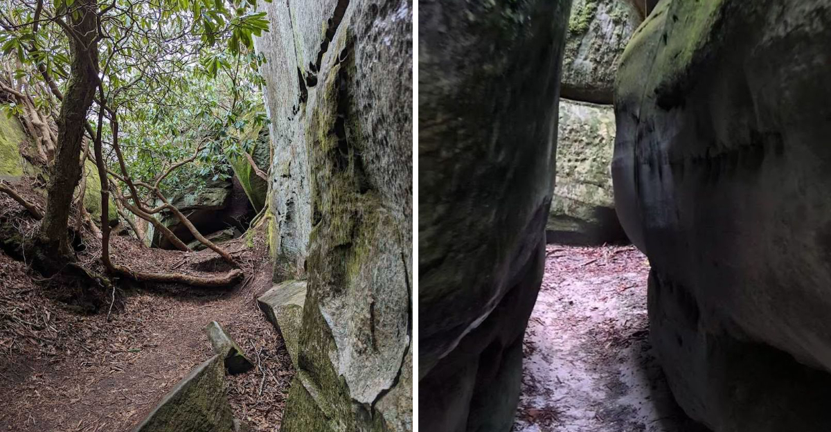 This rugged Virginia summit leads to a labyrinth of towering sandstone ...