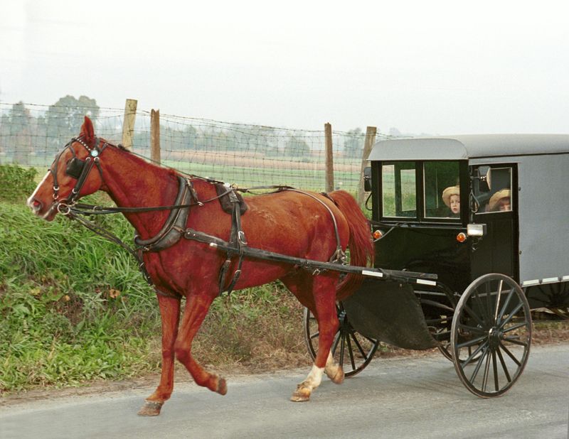 How to see Pennsylvania’s Amish beyond the stereotypes