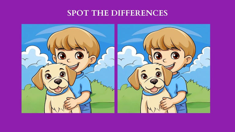 Spot 3 differences between the boy and dog pictures