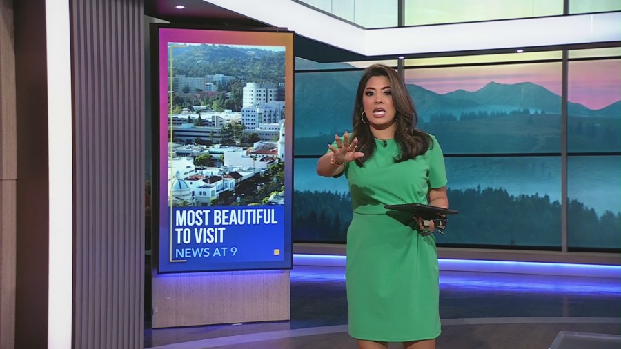 Bear wanders into KTLA reporter’s live shot while covering Monrovia attack
