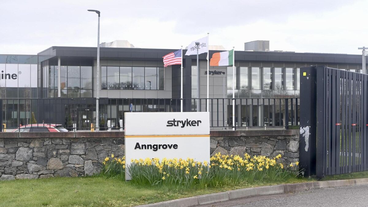 Government 'very vigilant' to cyberattack risk after Stryker hit by ...