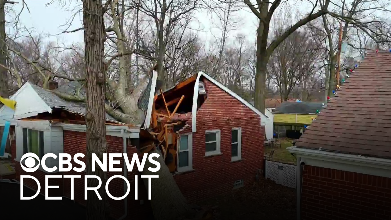 Large tree damages home in Redford amid high wind gusts