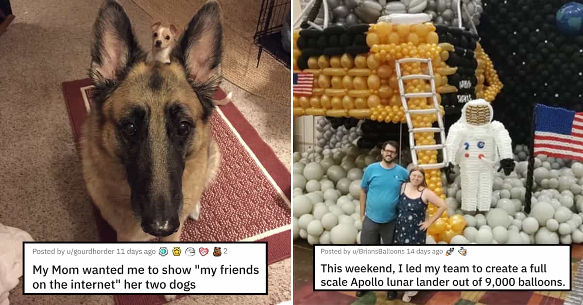 Awesome viral photos from Reddit