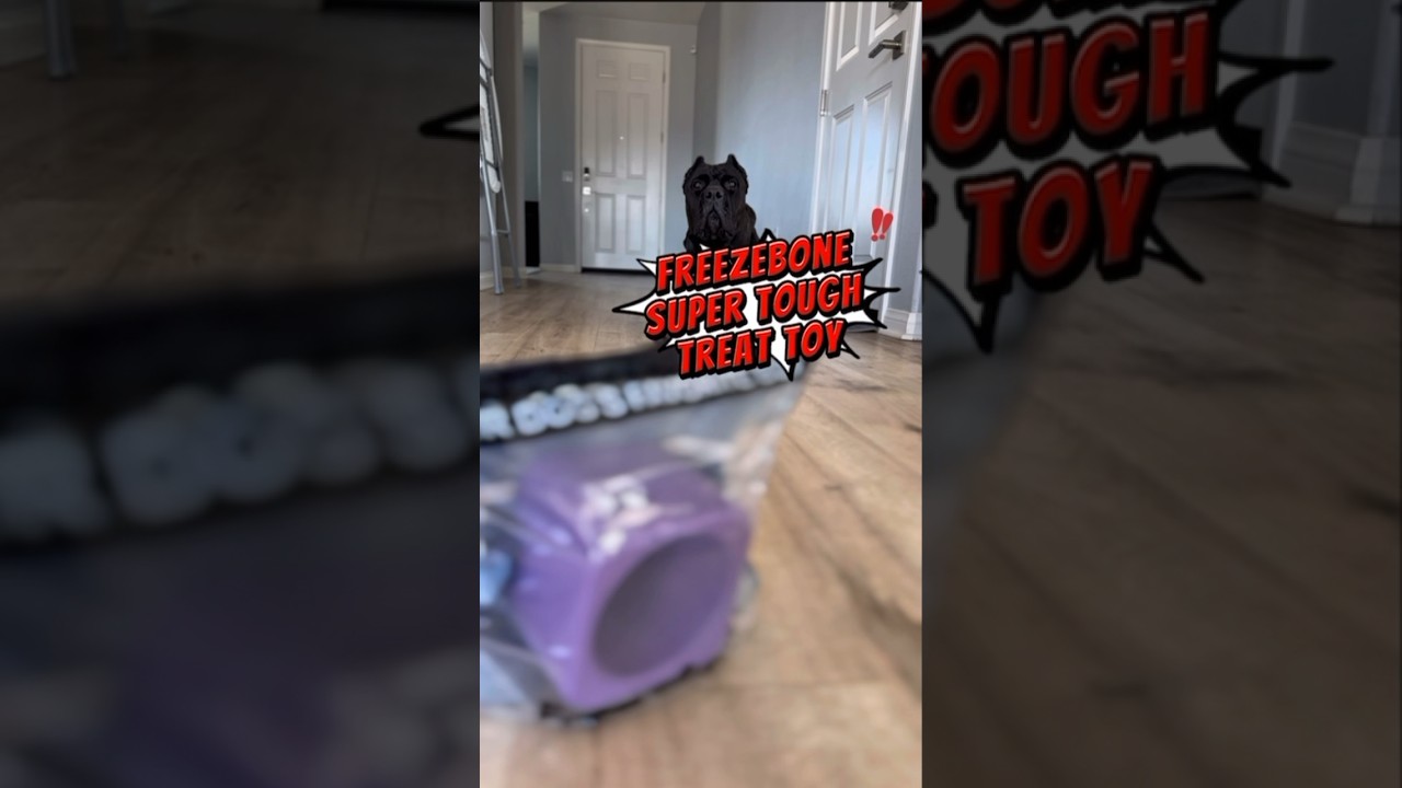 This giant dog toy provides hours of quiet work