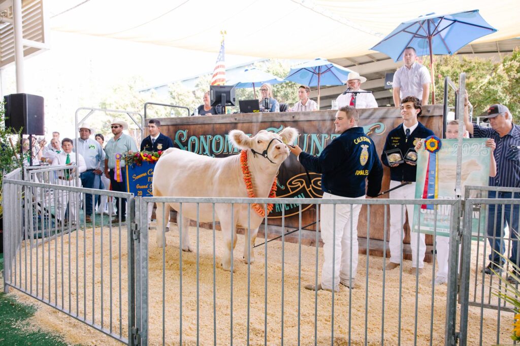 20 small-town traditions that still feel like America