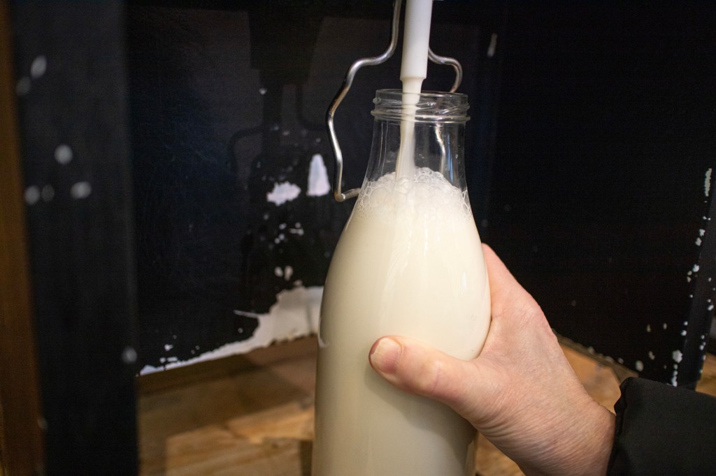 Raw milk is more popular than ever before, but this is why it’s banned ...