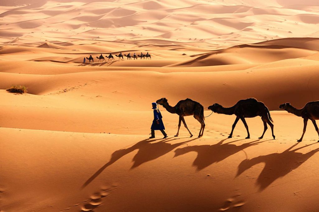 30 peculiar and obscure facts from history