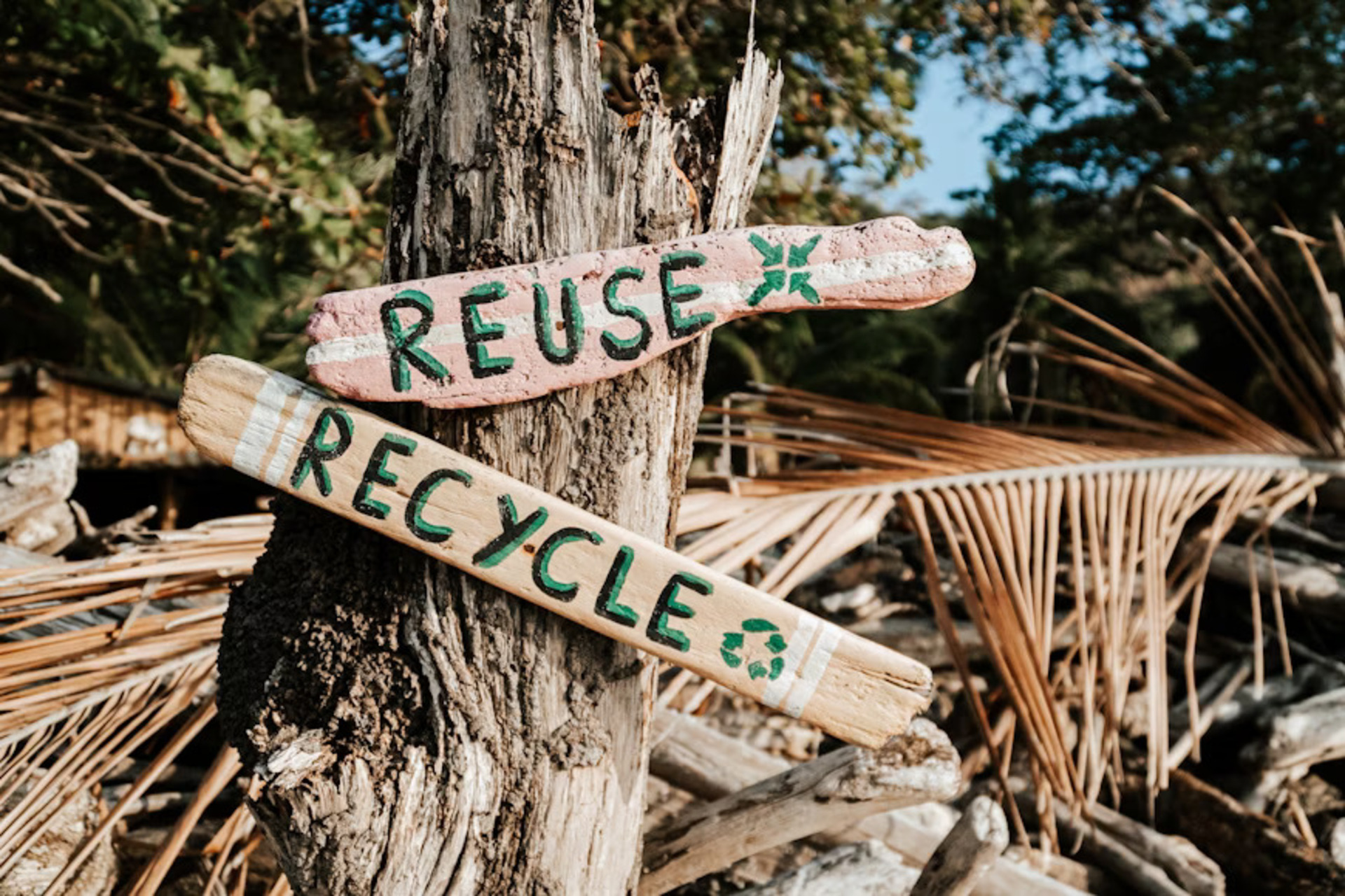 How to effectively reduce your ecological footprint in your daily life