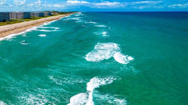 Researchers gain insight into marine predator's behavior after spotting ...