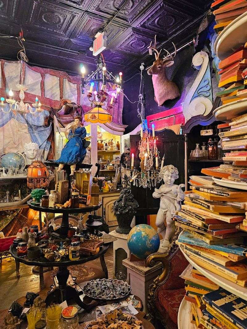 This Minnesota store is packed with oddities, color, and serious ...