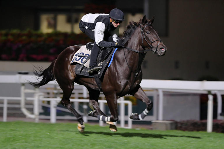 Superstar jockey James McDonald confirmed to ride Seraph Gabriel in ...