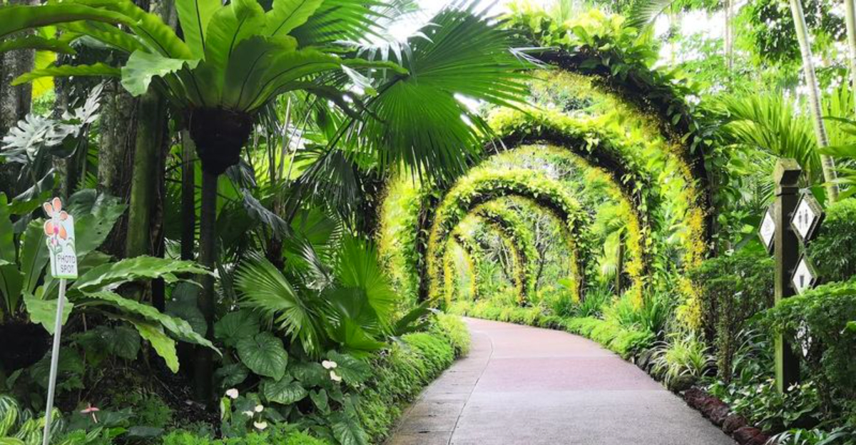 19 beautiful and unusual gardens around the world