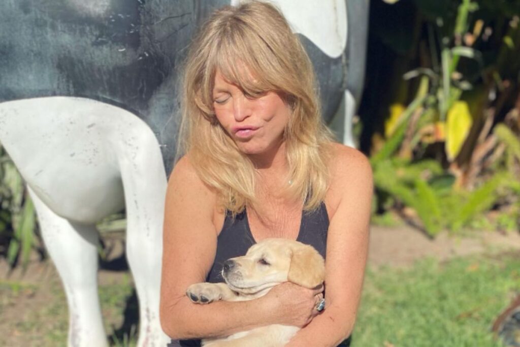 Goldie Hawn at 80: How she maintained her fitness over the years