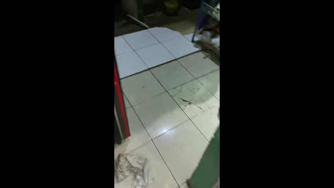 Cat startled while sleeping in pot in Bogor, Indonesia