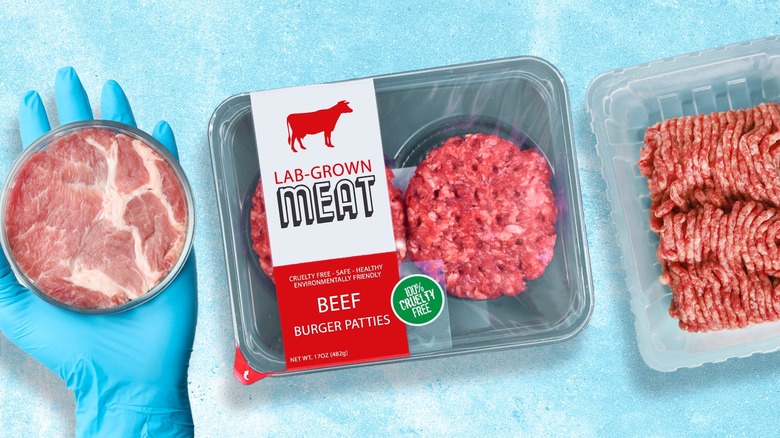 What you need to know about lab-grown meat