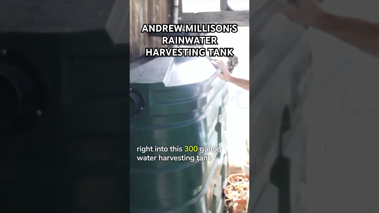 I transformed my garden with rainwater harvesting 💧