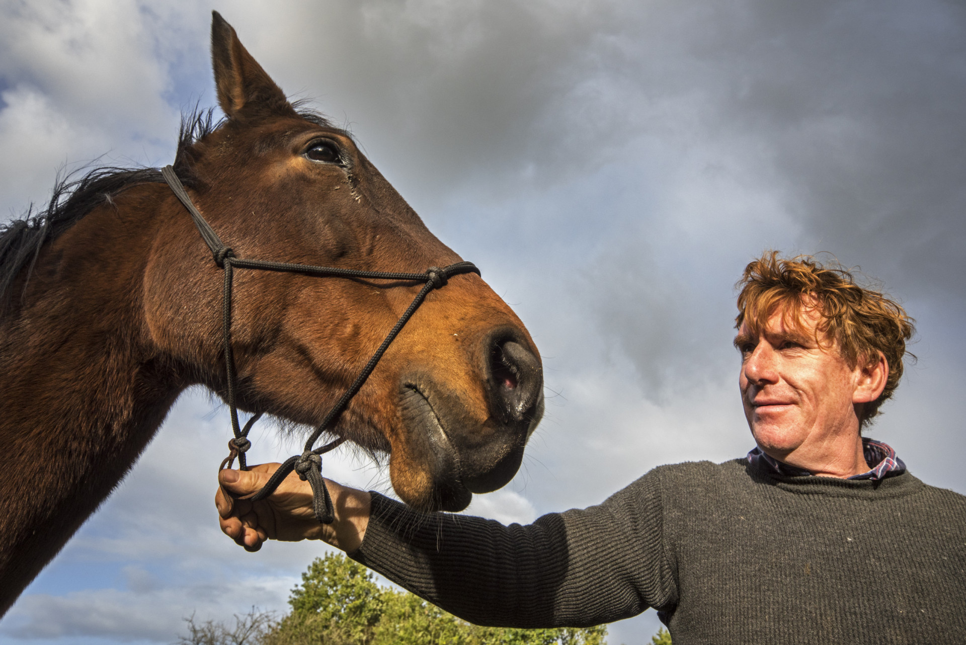 Can animals understand human language?