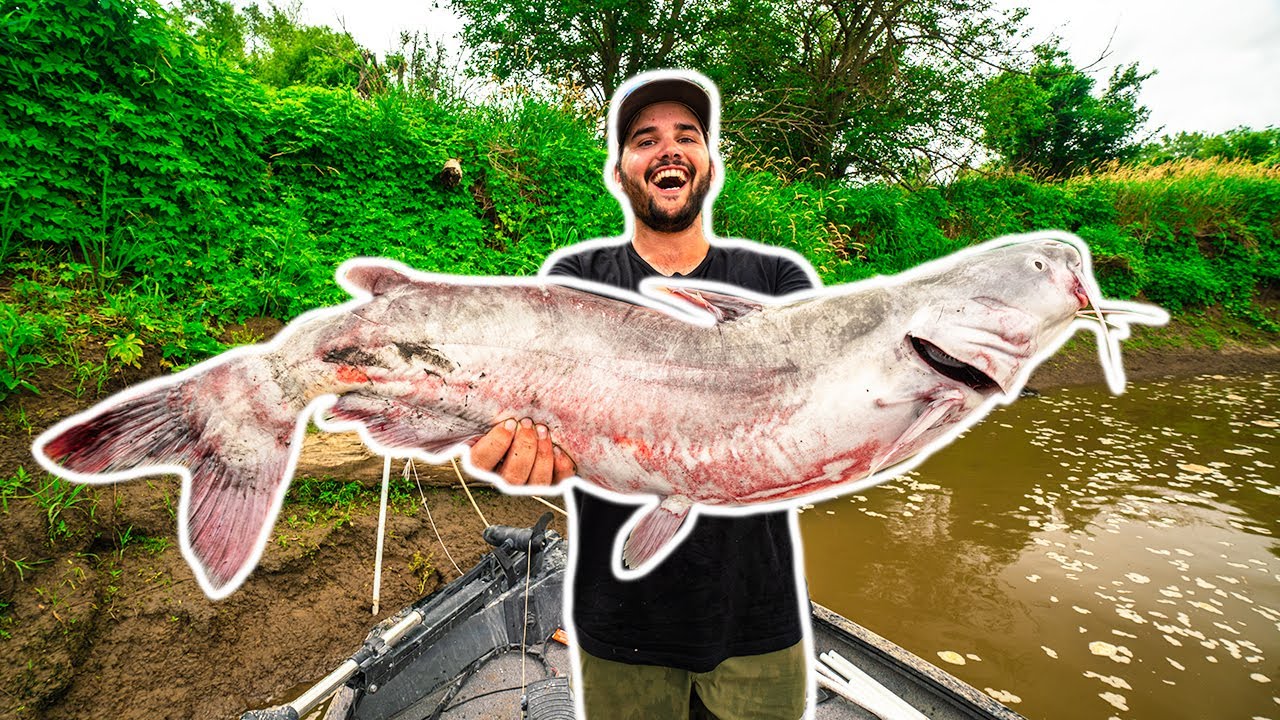 Catching, cleaning, and cooking a huge river catfish