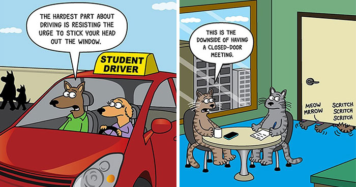 22 cat and dog comics that perfectly reveal their nature