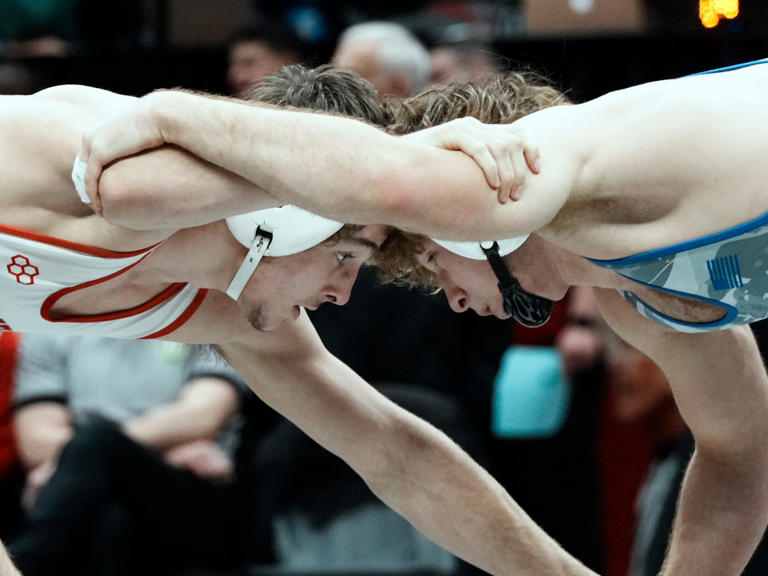 Sheridan’s Maddox Laymon wins gold in OHSAA Div. II 132-pound final