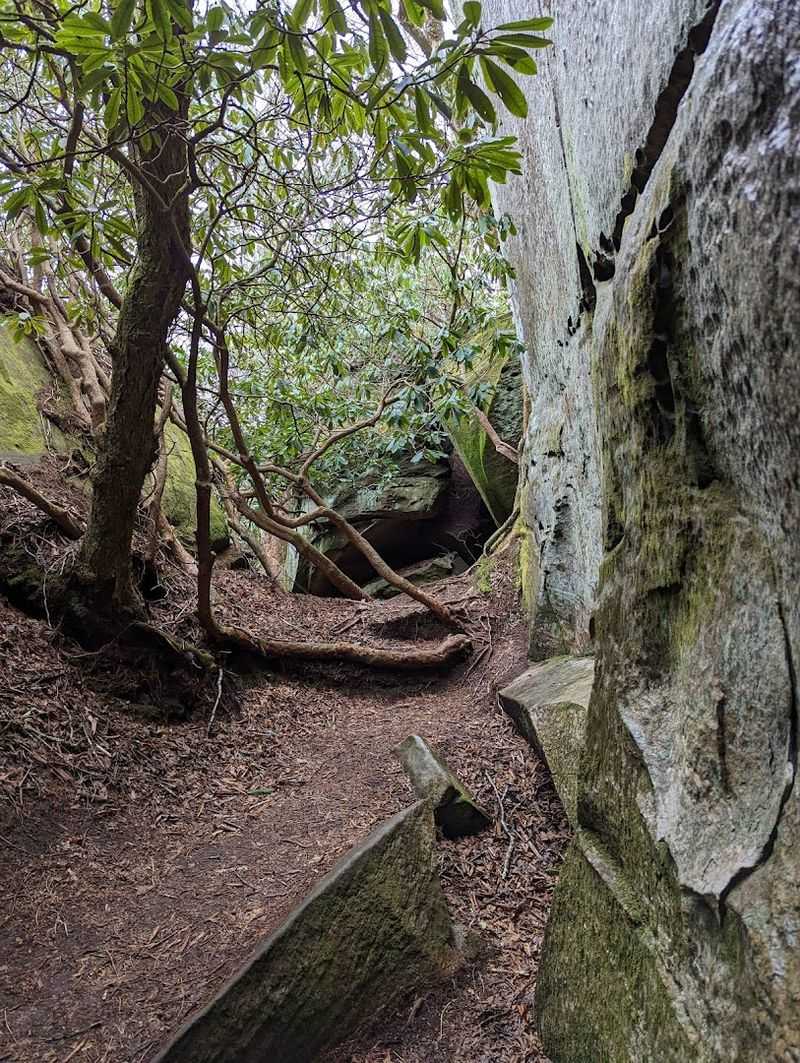 This rugged Virginia summit leads to a labyrinth of towering sandstone ...