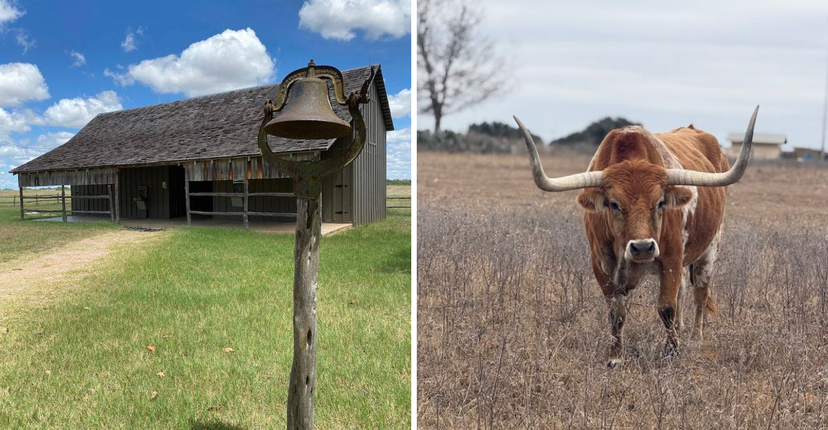 The Texas Hill Country ranch where longhorns roam across rolling hills