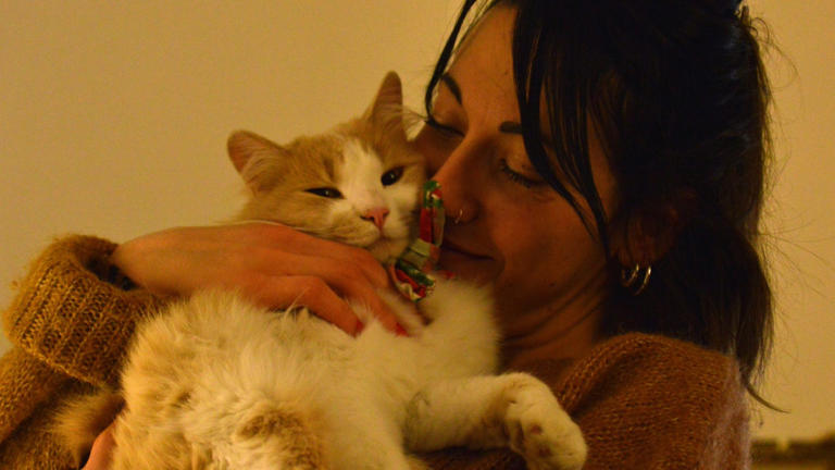 Cómo decirle "te quiero" a un gato en su propio idioma, sin palabras ni ...