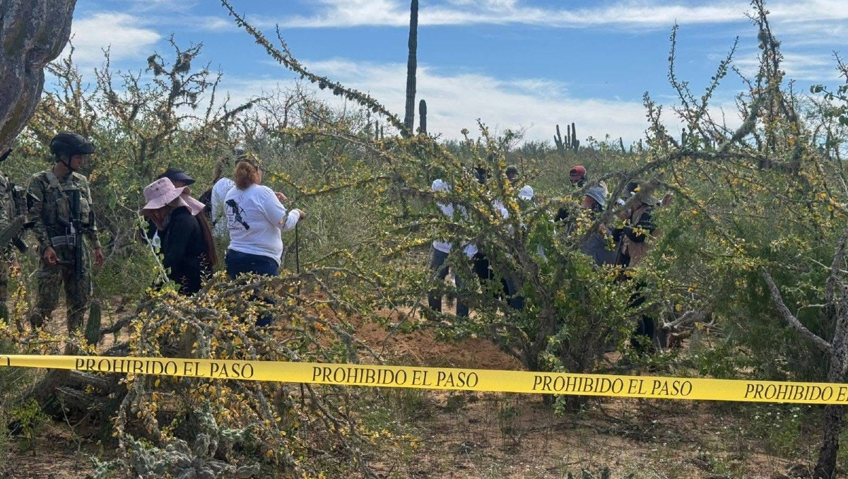Localizan seis fosas clandestinas en jornadas de búsqueda en La Paz y ...