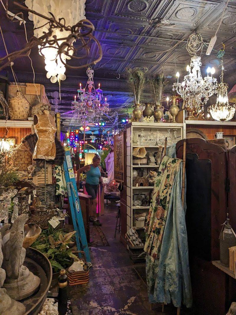 This Minnesota store is packed with oddities, color, and serious ...