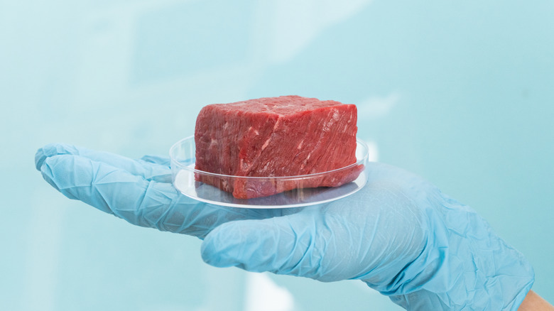 What you need to know about lab-grown meat