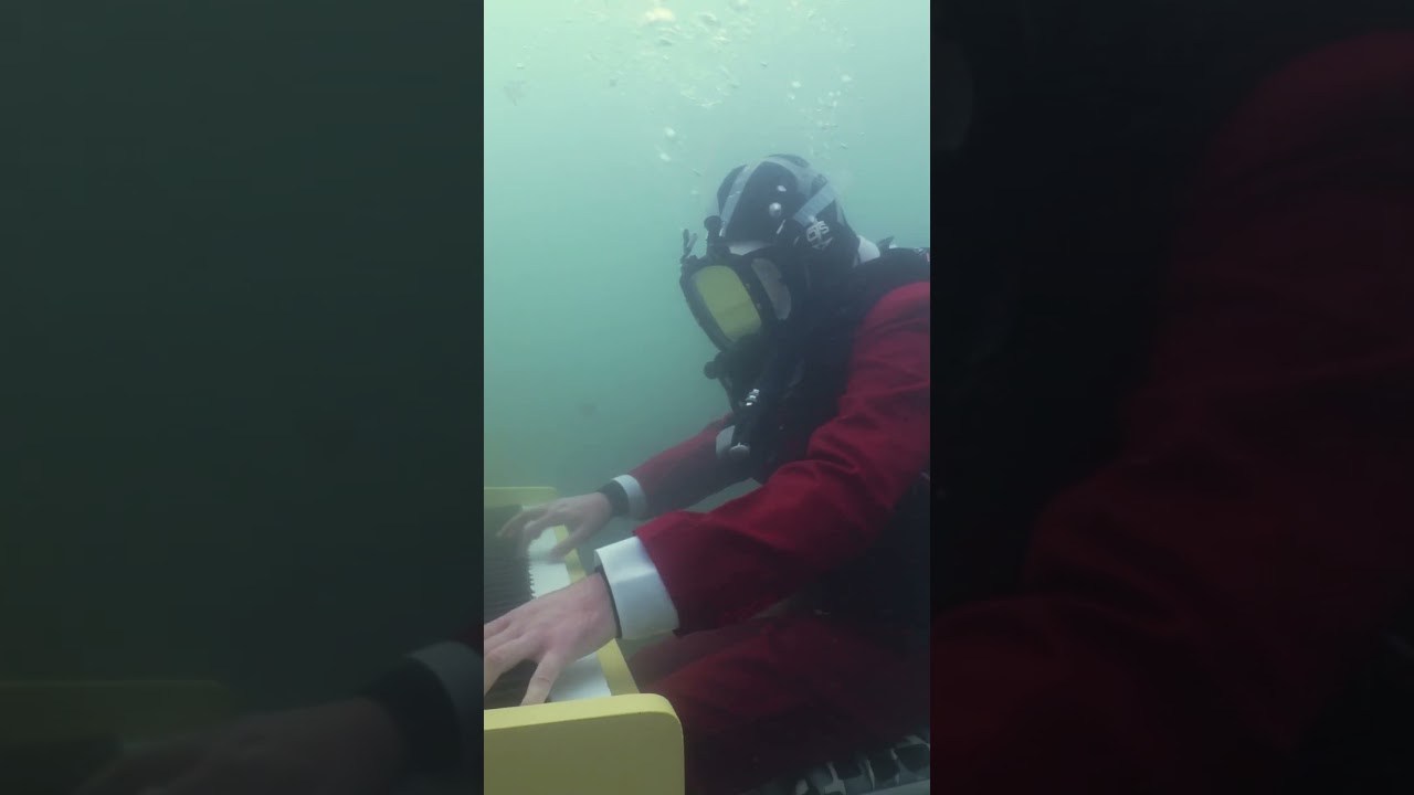 Exploring life under the sea