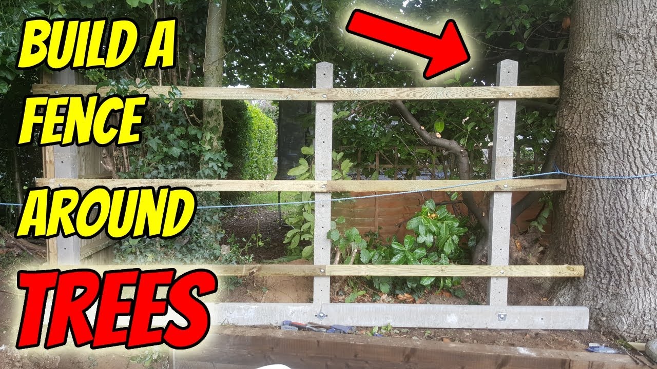 How to fence a tree like a pro in 12 steps 💪🛠️