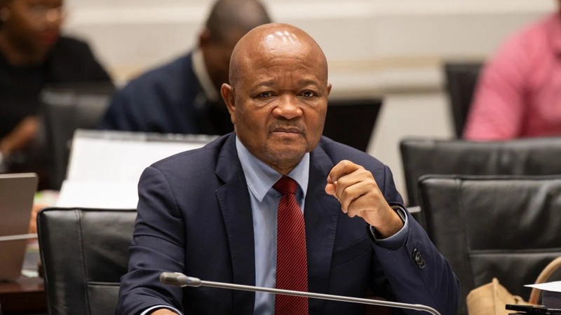 'This action is utterly premature': Ad hoc committee rebukes Senzo ...