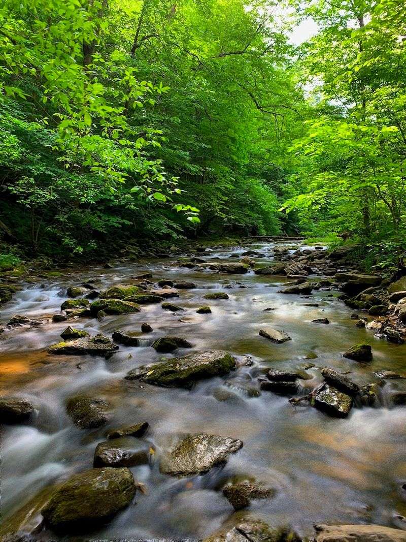 This Virginia ‘eighth wonder of the world’ is a massive limestone ...