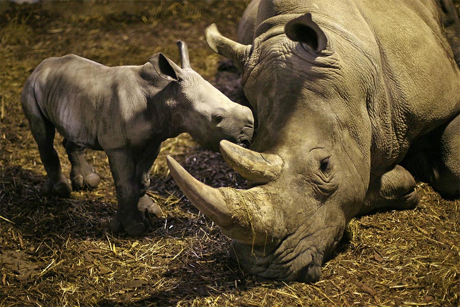 ‘If you don’t like the zoo that much, then you should be gone,’ unhappy ...