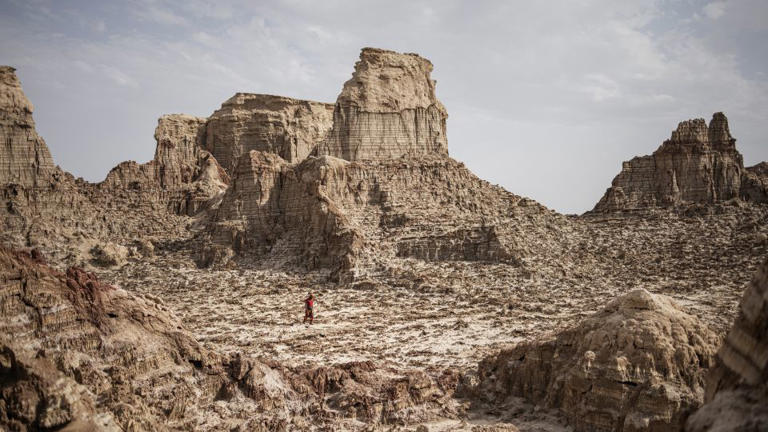 Africa’s great divide: Why the continent’s split is so exciting for science