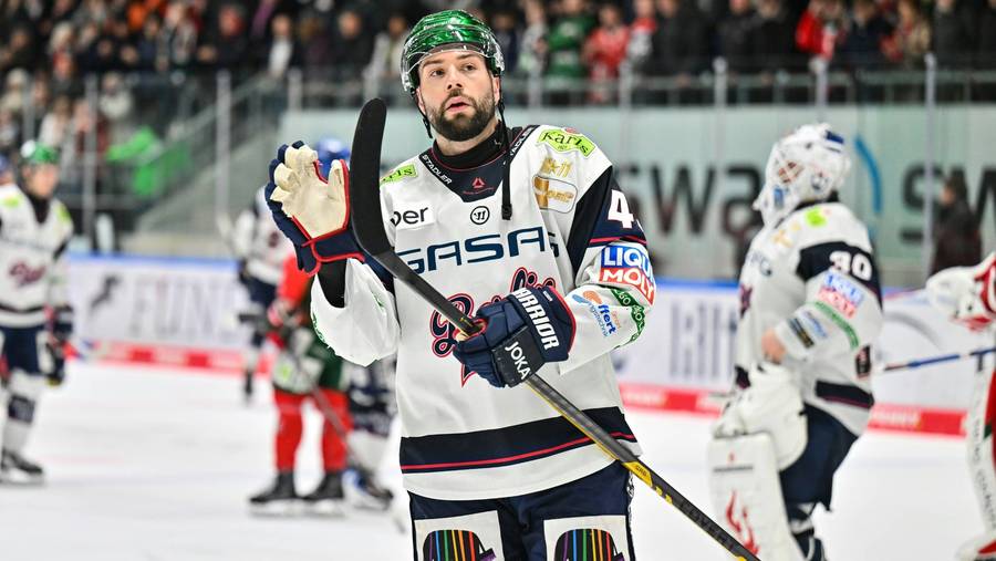 Erleichterung bei den Eisbären