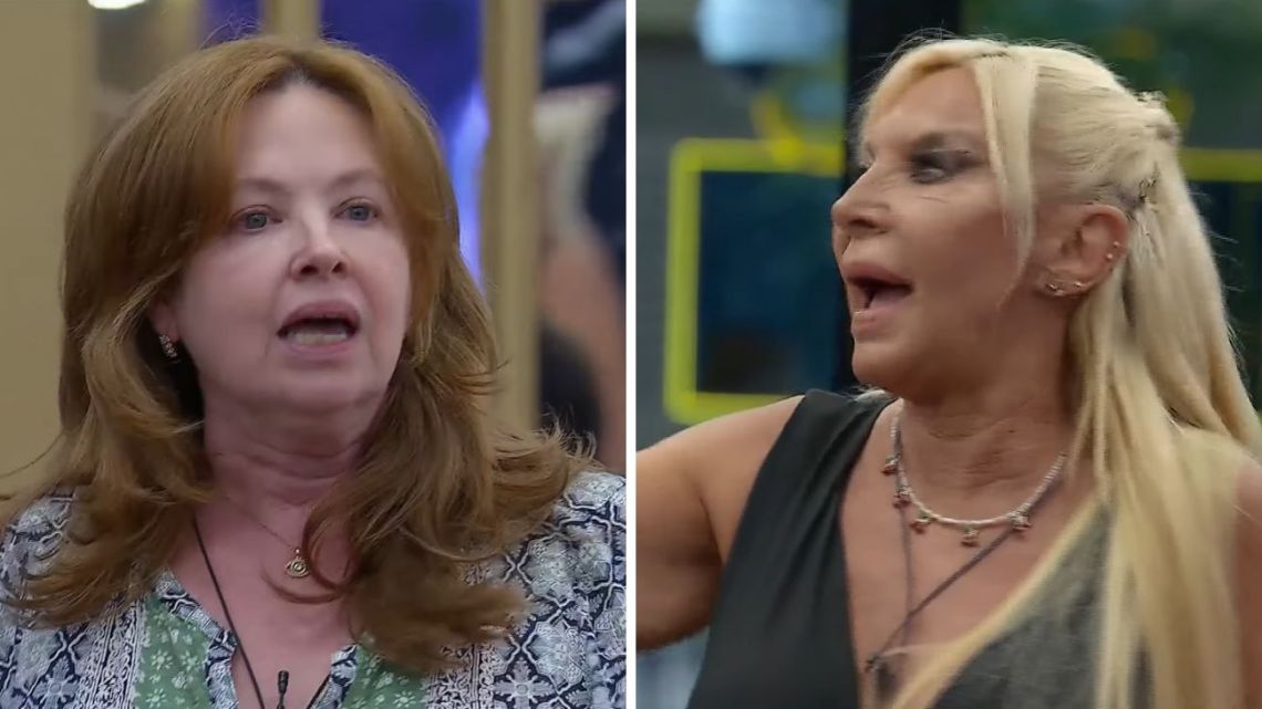 Andrea del Boca y Yanina Zilli protagonizaron un fuerte cruce en Gran ...
