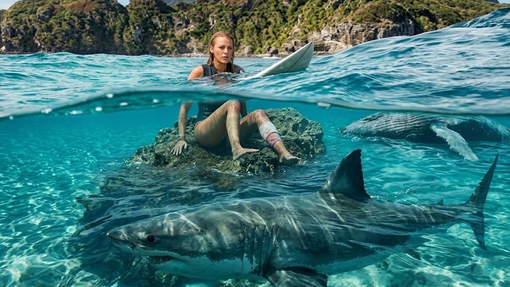 What a shark scientist says about The Shallows movie