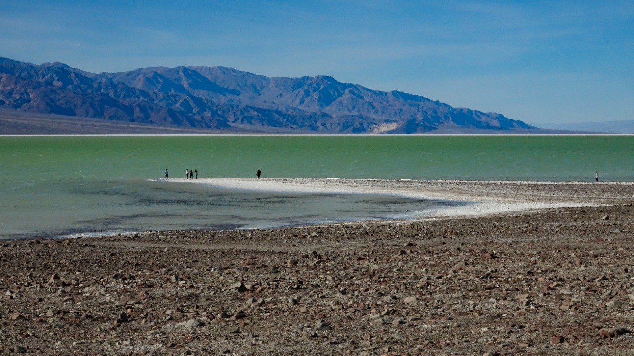 Death Valley’s Badwater Basin is blooming after rare rains