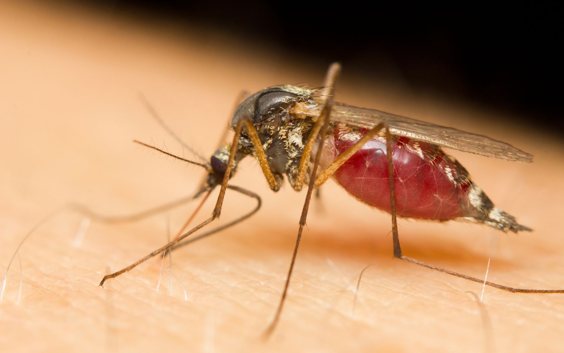 30 scientific facts for curious minds