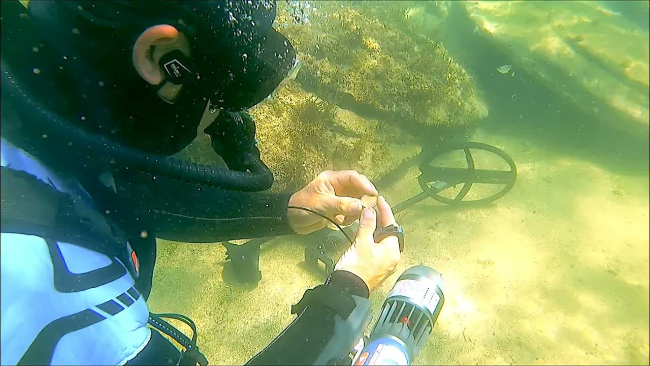 Deadly snakes hiding beneath the surface (underwater detecting gone wrong)