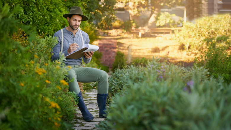 The garden design choice that gives your garden a soft & natural look