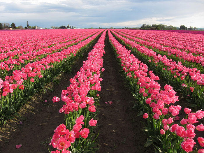 49 places you should see in each US state